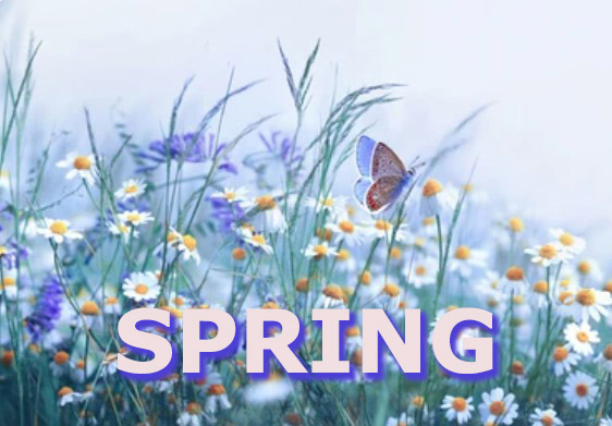 spring2 – Simpson Hall