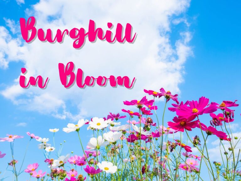 Burghill in Bloom – Simpson Hall